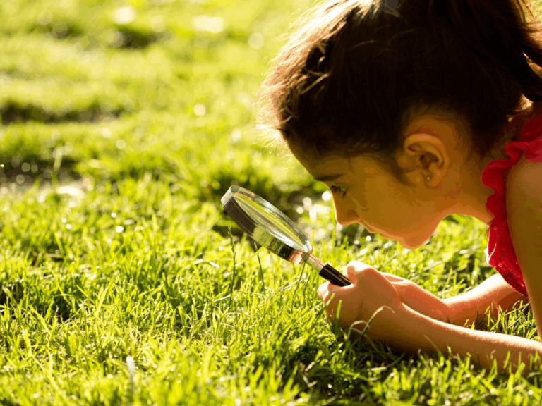 Nature Explorers: Discovering the Great Outdoors - Children Are Loved